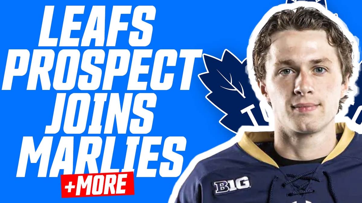 WATCH: Maple Leafs’ prospect Max Ellis brings a lot of value to the ...