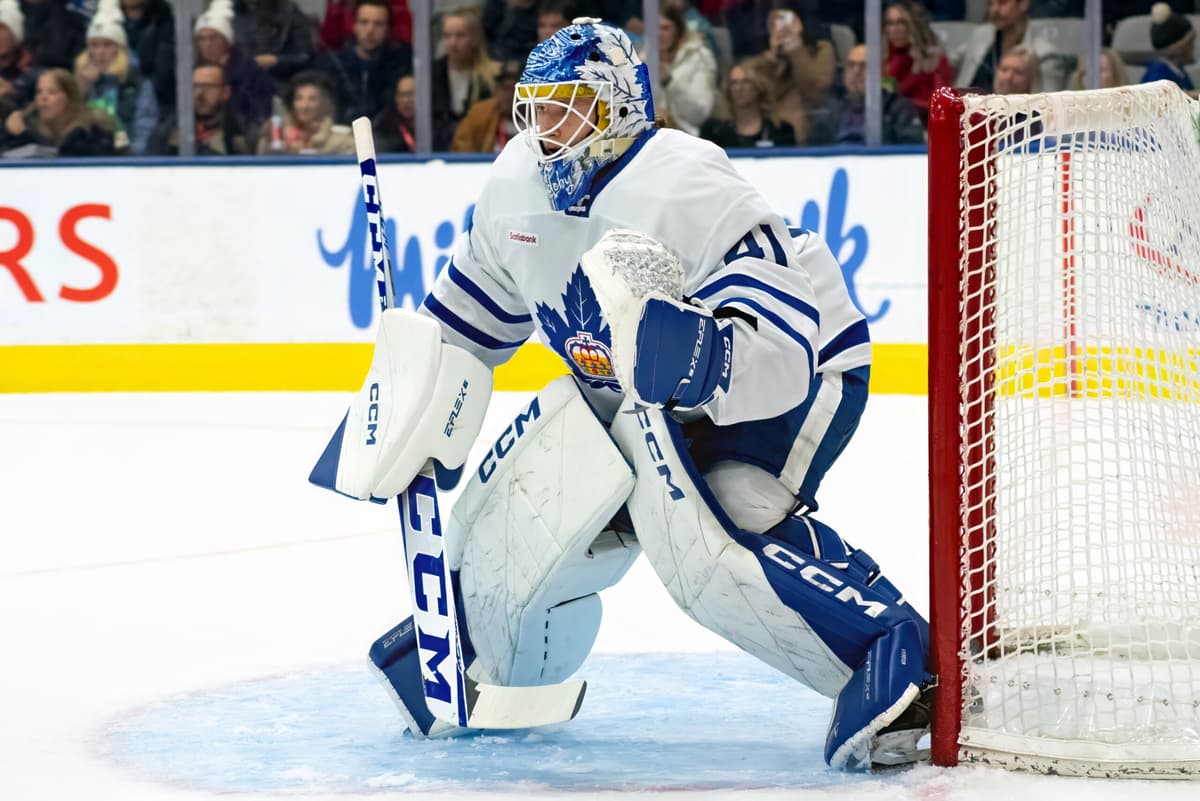 2024 TLN Maple Leafs Prospect Rankings: #3 Dennis Hildeby