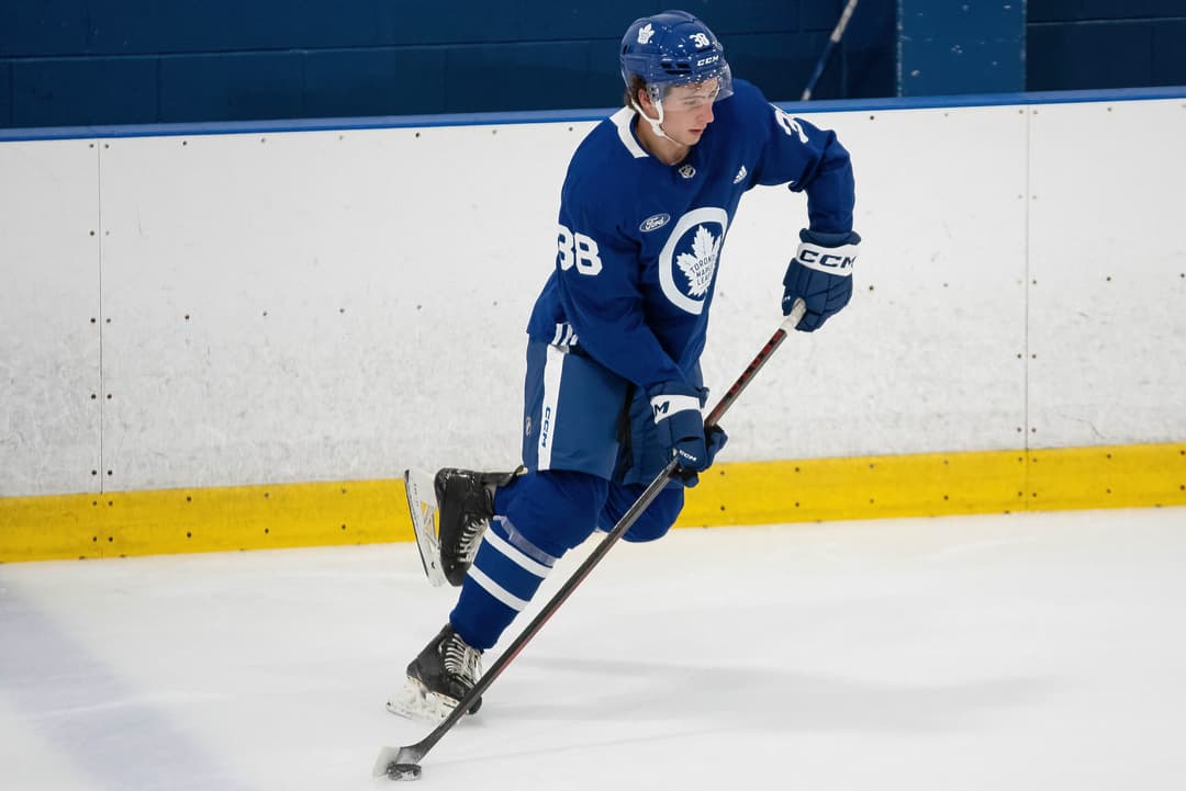 The Leafs Nation - News, Roster, Scores, Schedule