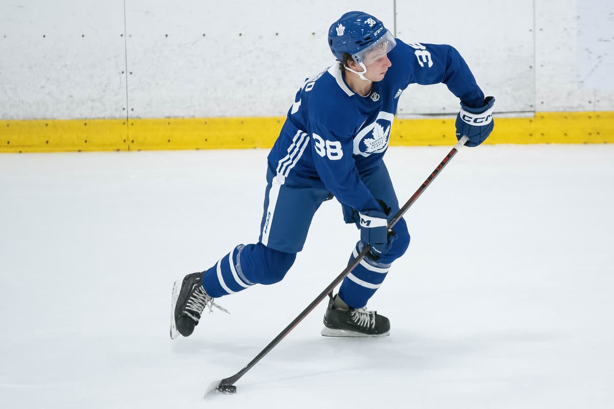 Ben Danford scores first professional goal, Marlies take Game 1 of ...